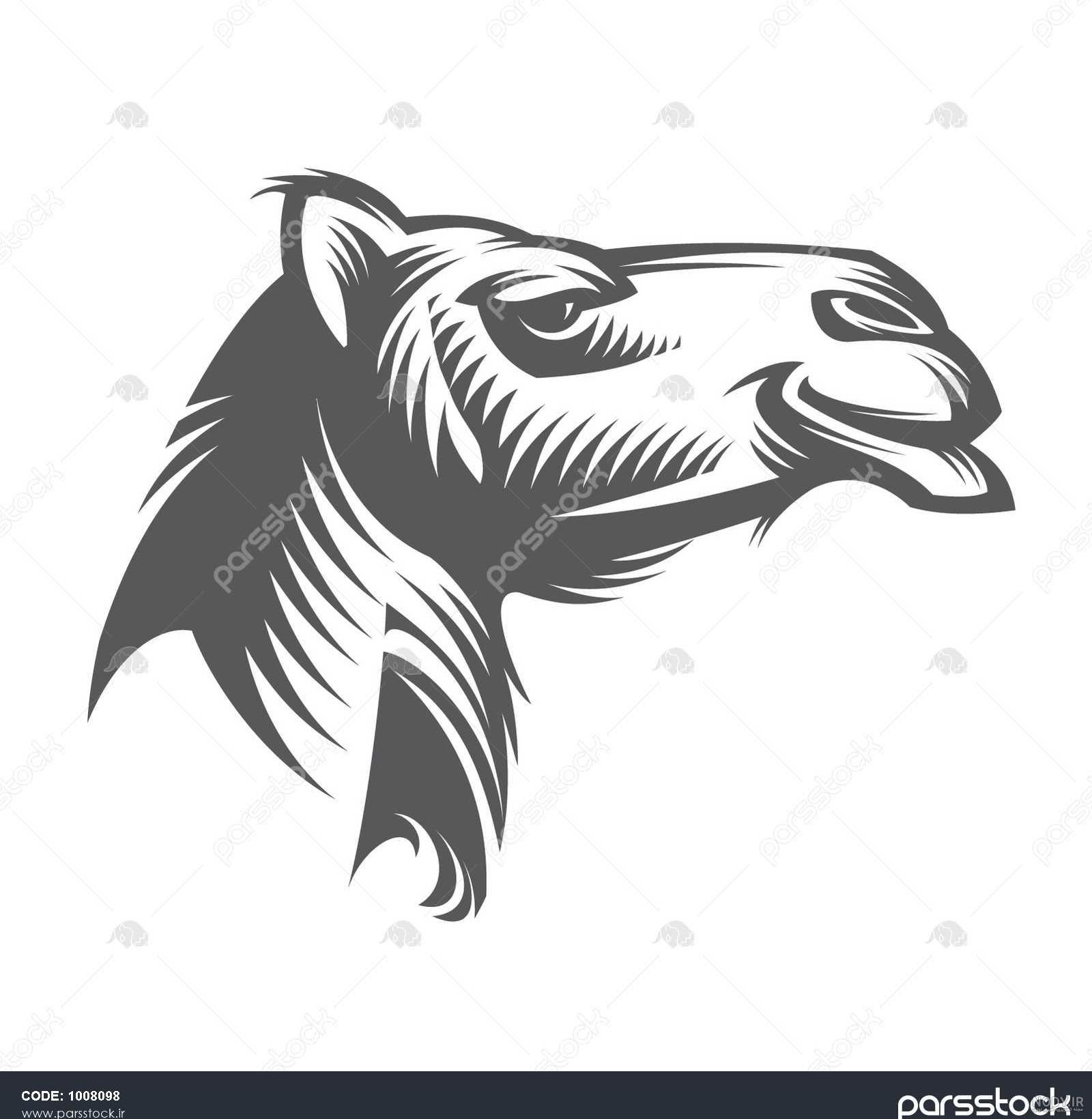 عکس تاتو شتر - عکس نودی