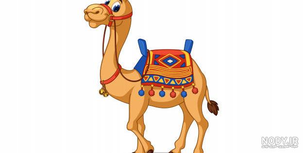 عکس شتر انیمیشن - عکس نودی