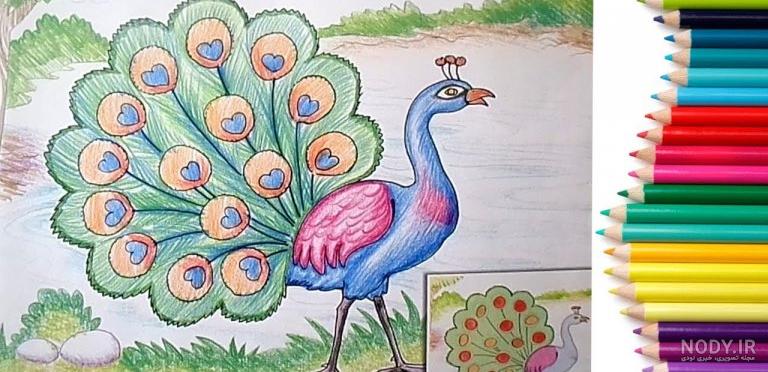 عکس نقاشی طاووس فانتزی - عکس نودی