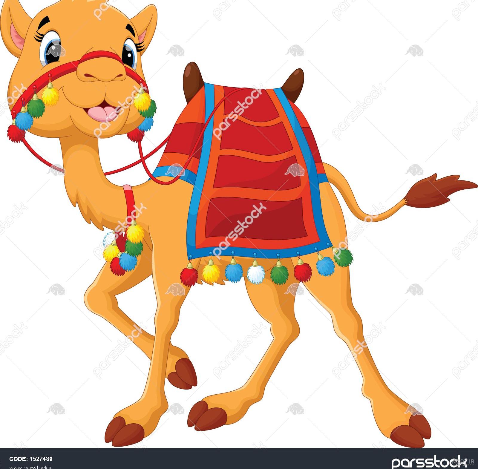 عکس شتر های کارتونی - عکس نودی