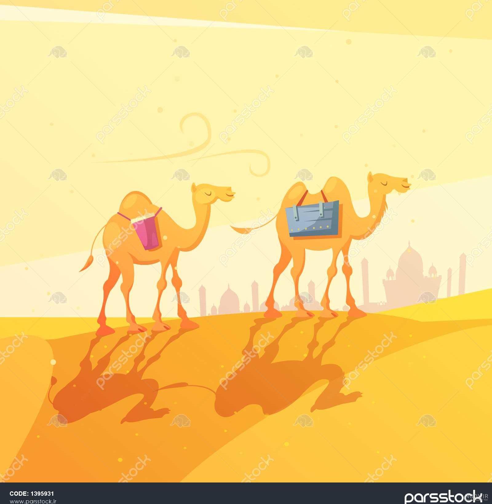 عکس شتر های کارتونی - عکس نودی