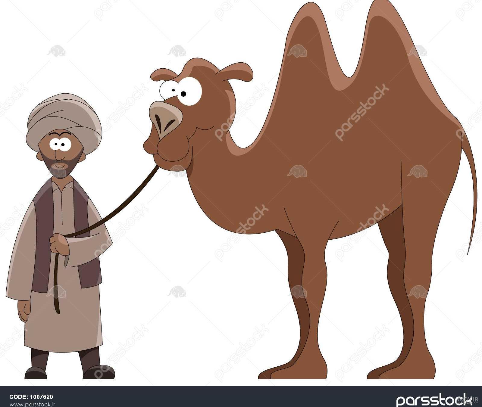 عکس شتر های کارتونی - عکس نودی