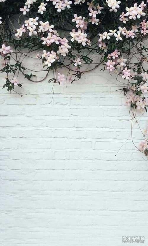 عکس بک گراند برای نوشته عکس نودی