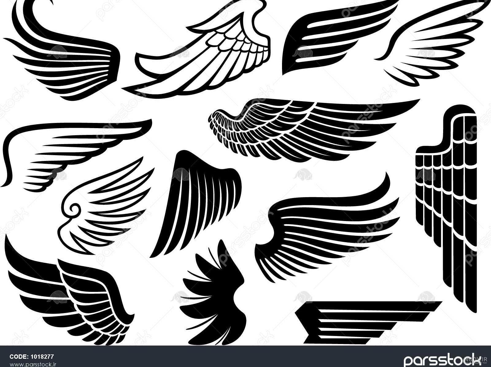 عکس وکتور بال - عکس نودی