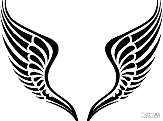 عکس وکتور بال - عکس نودی