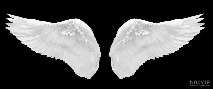 عکس وکتور بال - عکس نودی