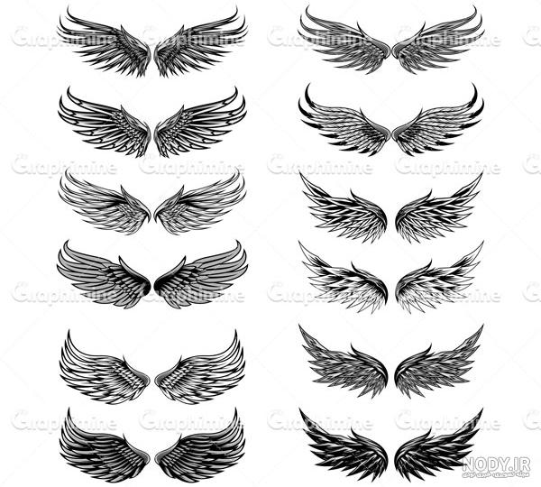 عکس وکتور بال - عکس نودی