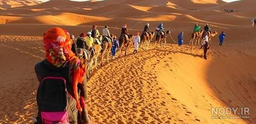 عکس تور کویر - عکس نودی