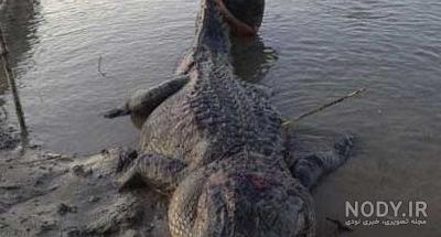 عکسهای غول ترسناک - عکس نودی