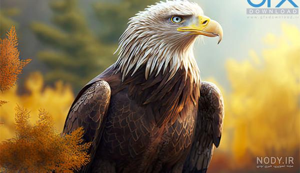 عکس زیباترین عقاب دنیا - عکس نودی
