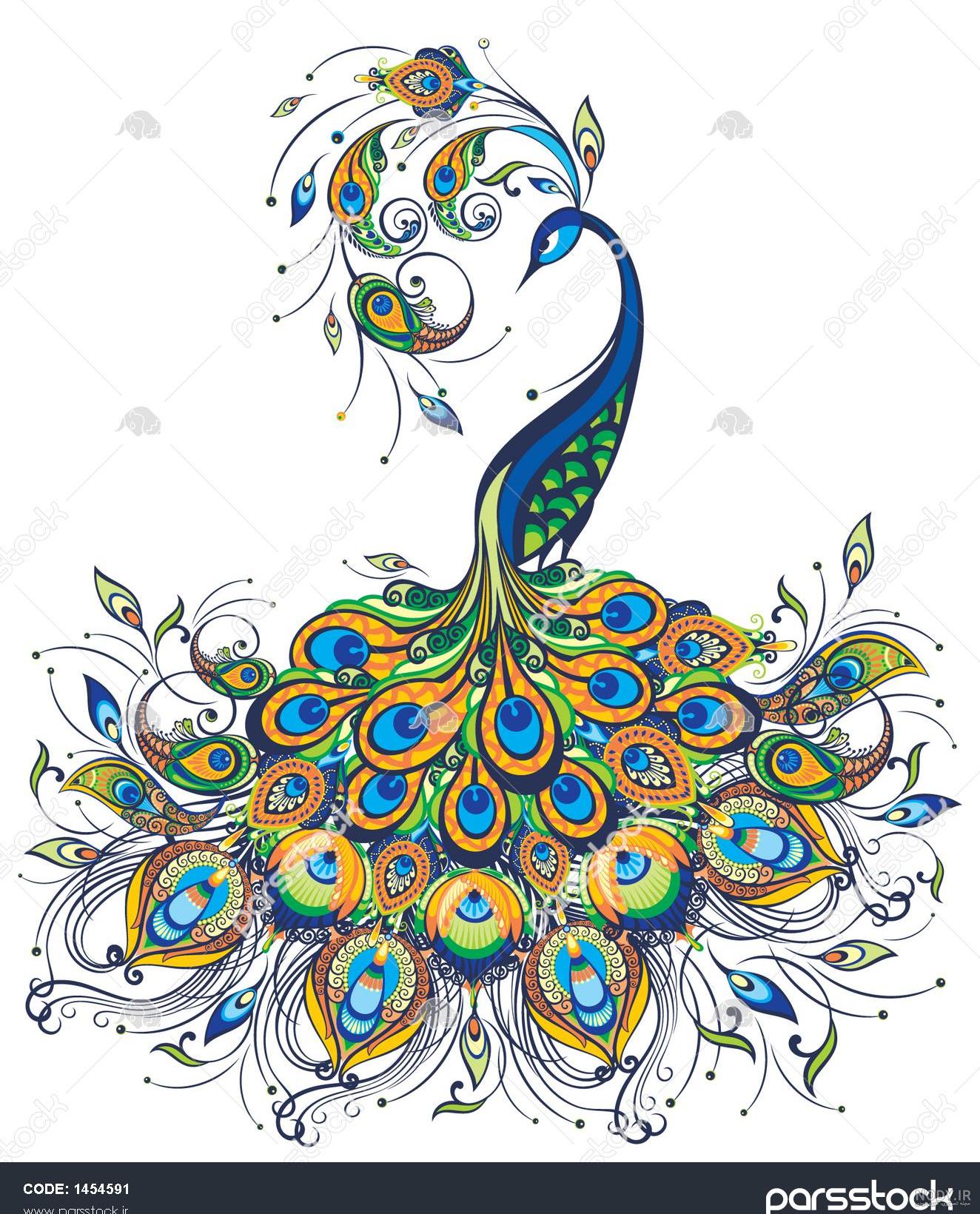 نقاشی پر طاووس کودکانه - عکس نودی