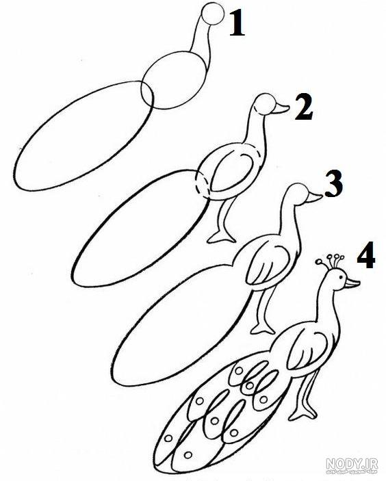 نقاشی طاووس سخت - عکس نودی