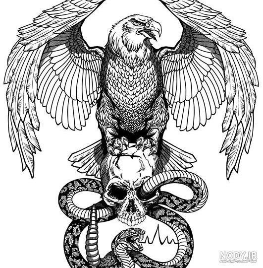 تاتو عقاب پشت سر؛ نمادی از قدرت، آزادی و جسارت